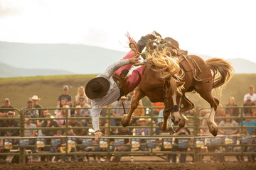 2-M Rodeo Productions, LLC - Where there’s grit there’s glory.