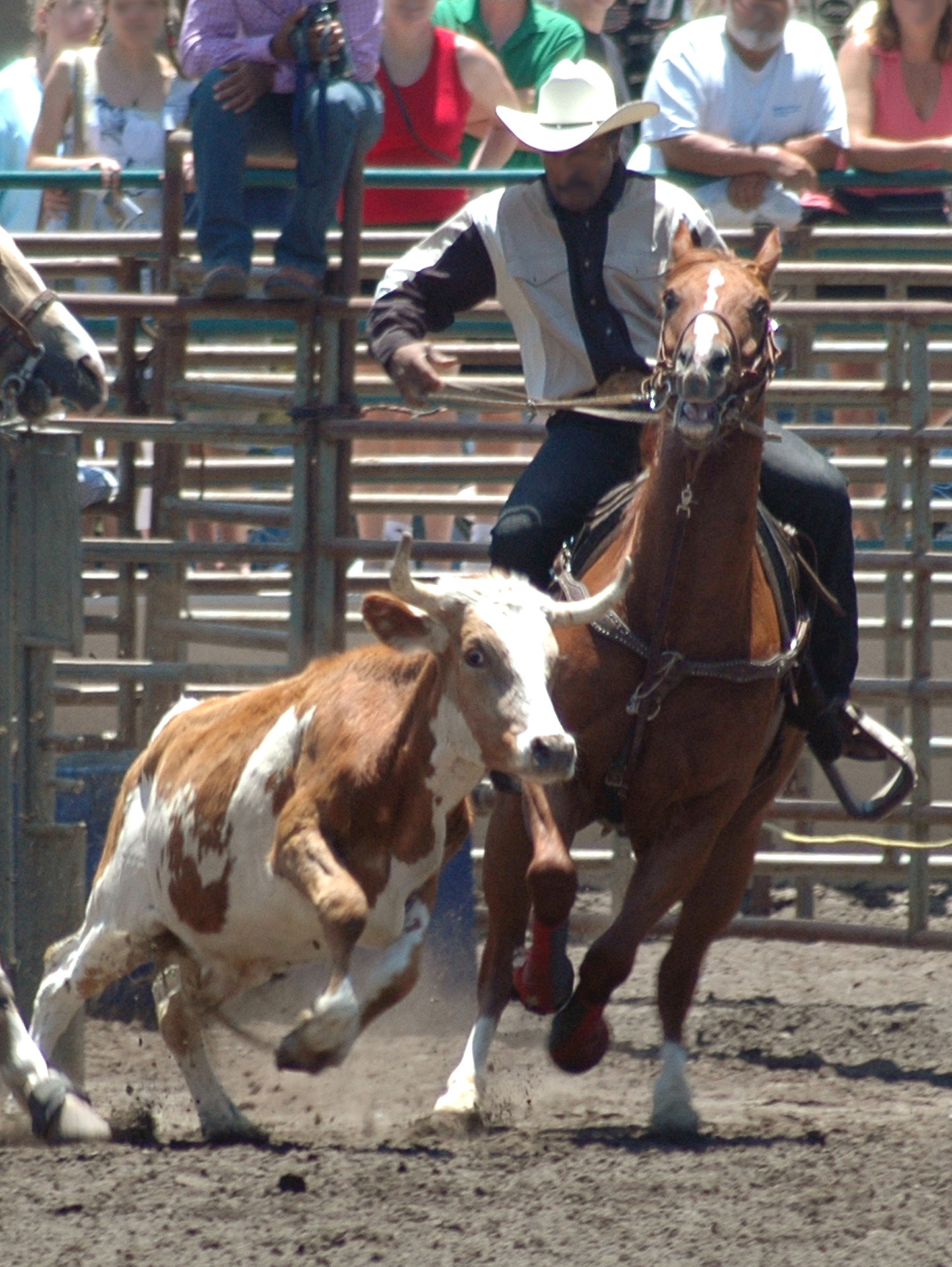 Our Story - 2-M Rodeo Productions, LLC